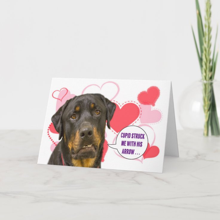 Rottweiler Valentine's Day Card | Zazzle