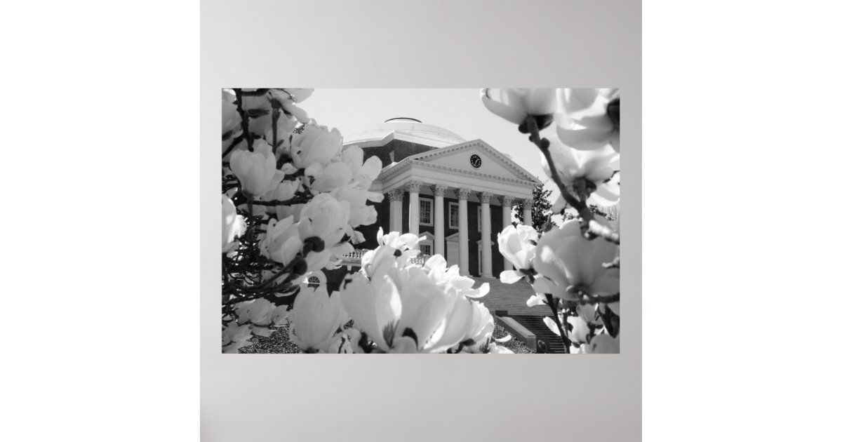 Rotunda and Flowers Poster | Zazzle
