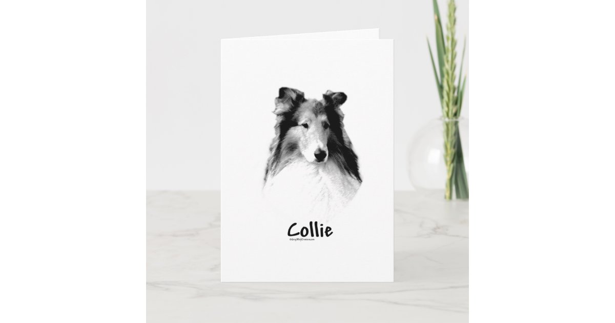 Rough Collie Charcoal Holiday Card | Zazzle