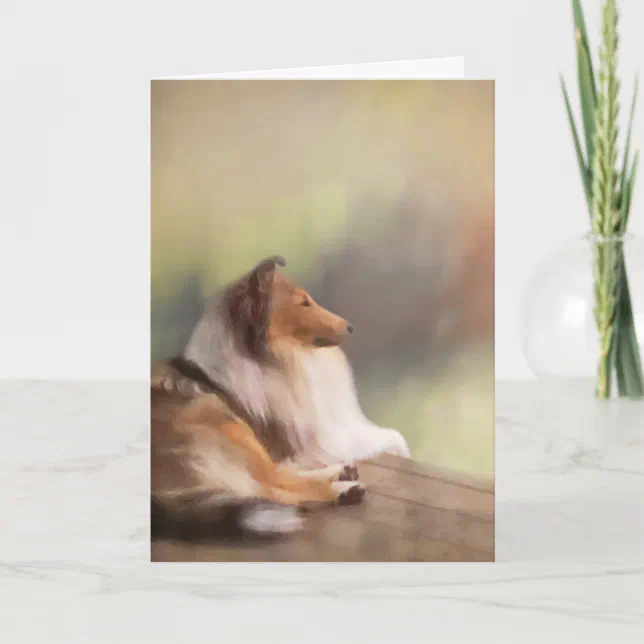 Rough Collie Greeting Card | Zazzle