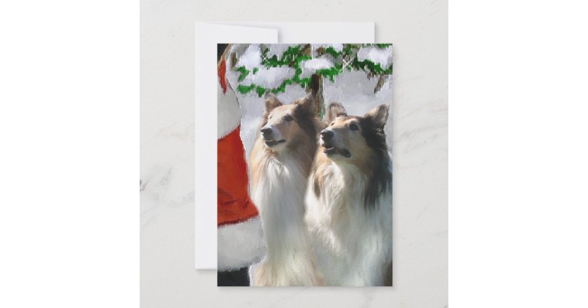 Rough Collies Meet Santa Christmas Card | Zazzle