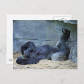 Rough Life Postcard | Zazzle
