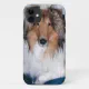 Rough Sable Collie iPhone 5 Case | Zazzle