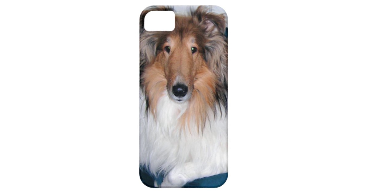 Rough Sable Collie iPhone 5 Case | Zazzle.com
