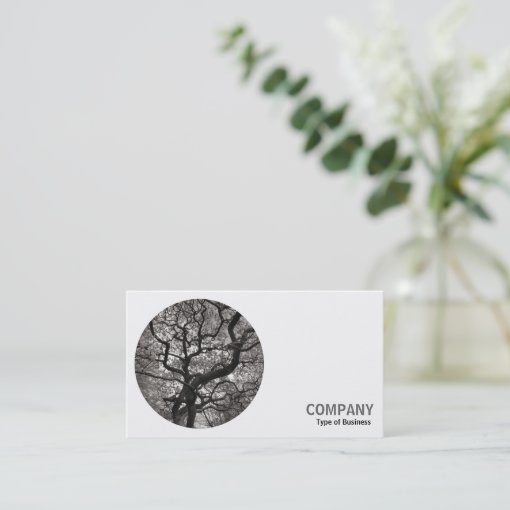 Round Photo - Japanese Maple Tree Business Card | Zazzle