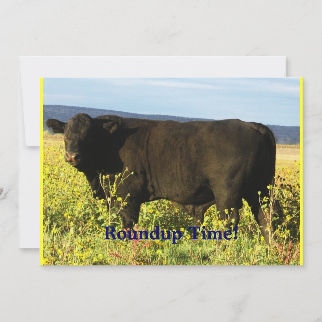Roundup Time! Cattle Drive - Western Style Party Invitation | Zazzle