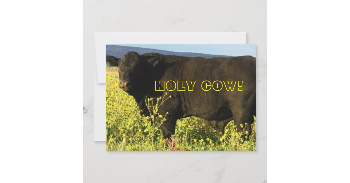Roundup Time! Holy Cow - Western Party Invitation | Zazzle