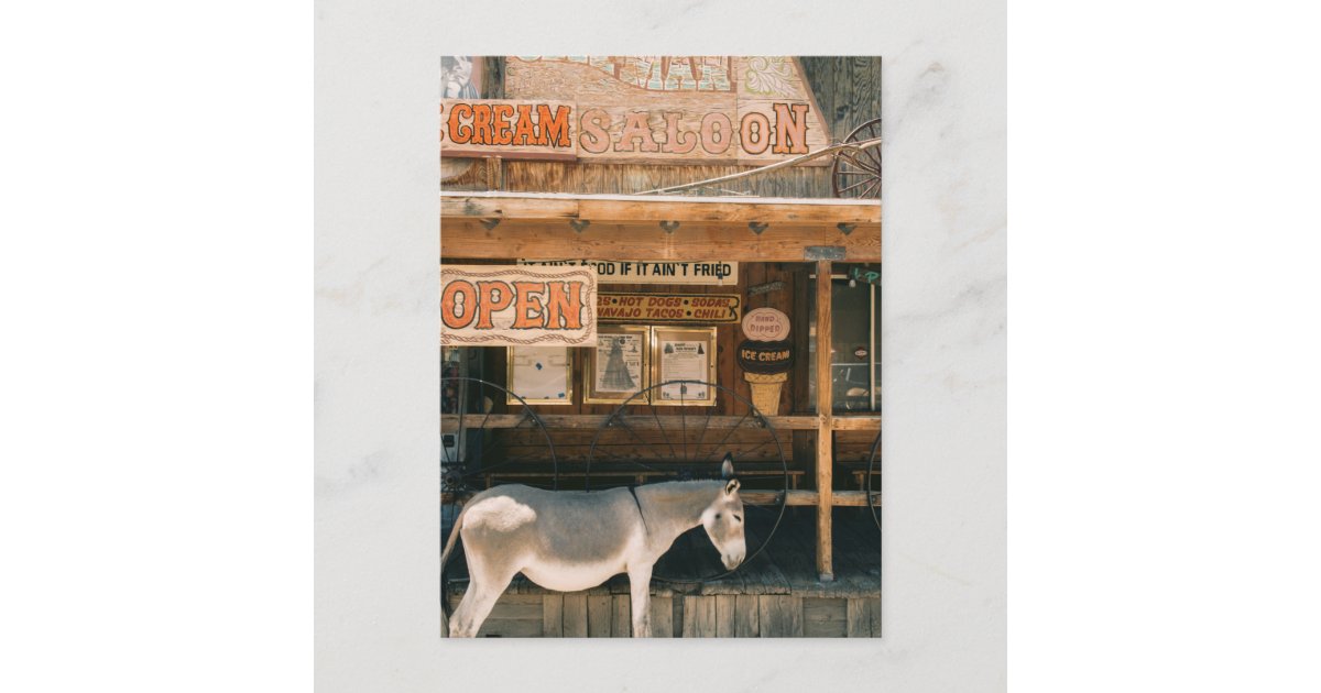 Route 66 Burros Postcard | Zazzle