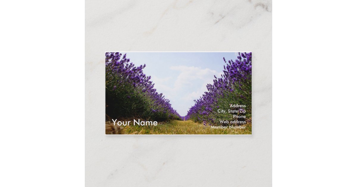 Row of Lavender Business Card | Zazzle