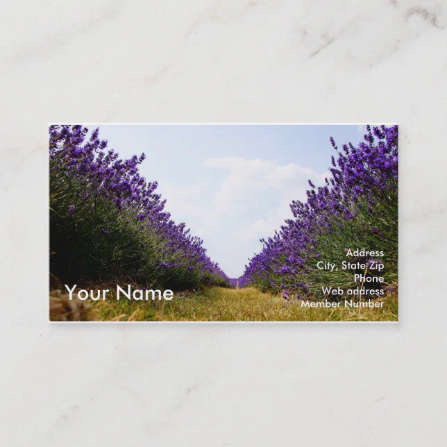 Row of Lavender Business Card | Zazzle
