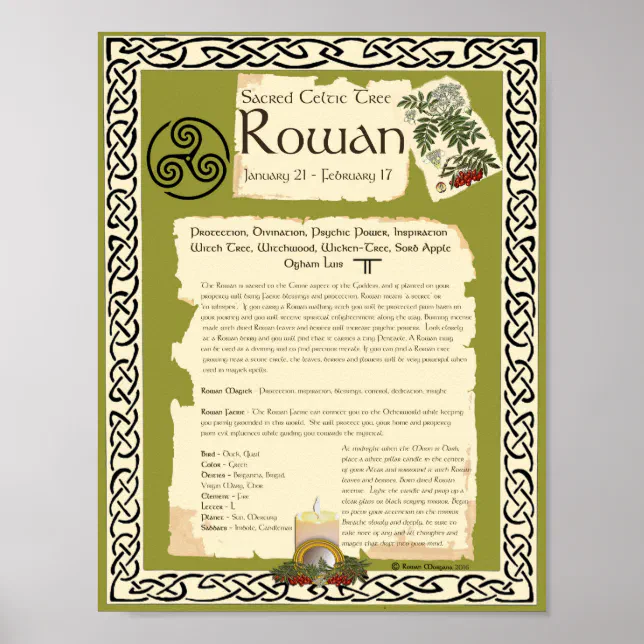 ROWAN CELTIC SACRED TREE POSTER | Zazzle