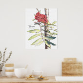 Rowan Study Poster | Zazzle