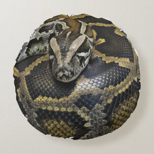 "Royal Python" design products Round Pillow | Zazzle.com