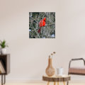 Royal Red Cardinal 24x24 Poster | Zazzle
