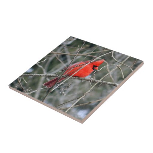 Royal Red Cardinal Ceramic Tile | Zazzle