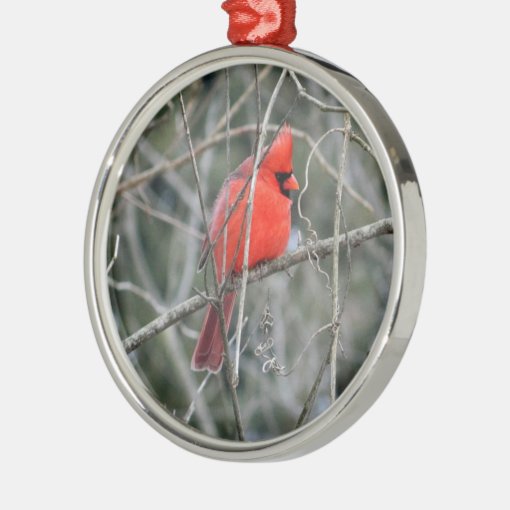 Royal Red Cardinal Premium Ornament | Zazzle
