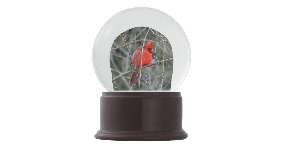 Royal Red Cardinal Snow Globe | Zazzle