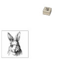 Rubber stamp with vintage Rabbit | Zazzle