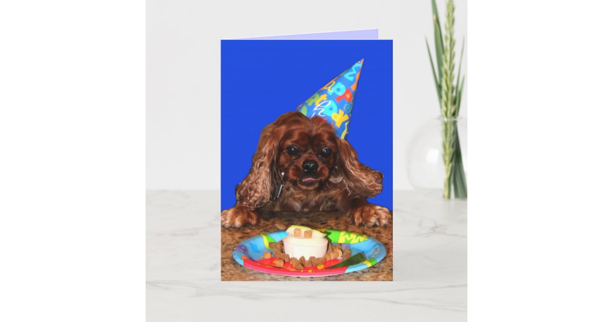Ruby Cavalier Birthday Card | Zazzle