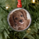 Ruby Cavapoo Puppy Dog Metal Ornament | Zazzle