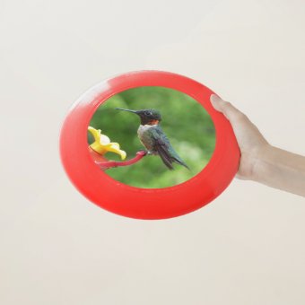 Ruby-Throated Hummingbird Bird Photography Wham-O Frisbee | Zazzle