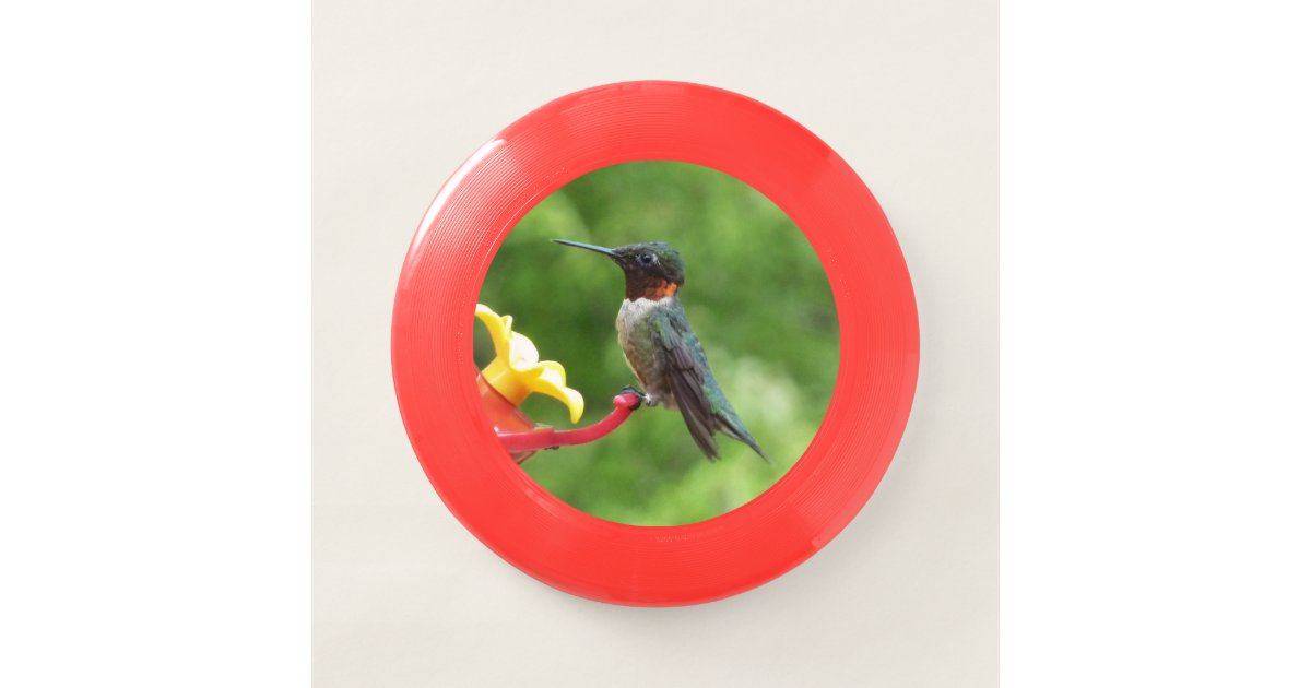 Ruby-Throated Hummingbird Bird Photography Wham-O Frisbee | Zazzle