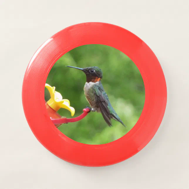 Ruby-Throated Hummingbird Bird Photography Wham-O Frisbee | Zazzle