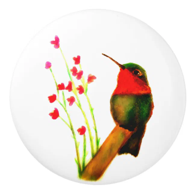 Ruby-Throated Hummingbird Ceramic Knob | Zazzle