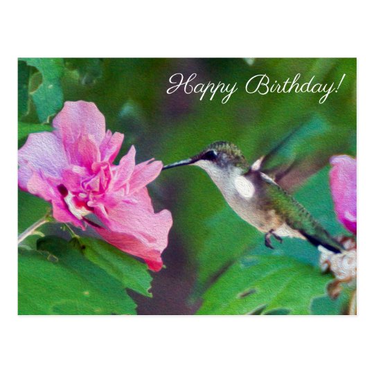 Ruby Throated Hummingbird Happy Birthday Postcard | Zazzle.com