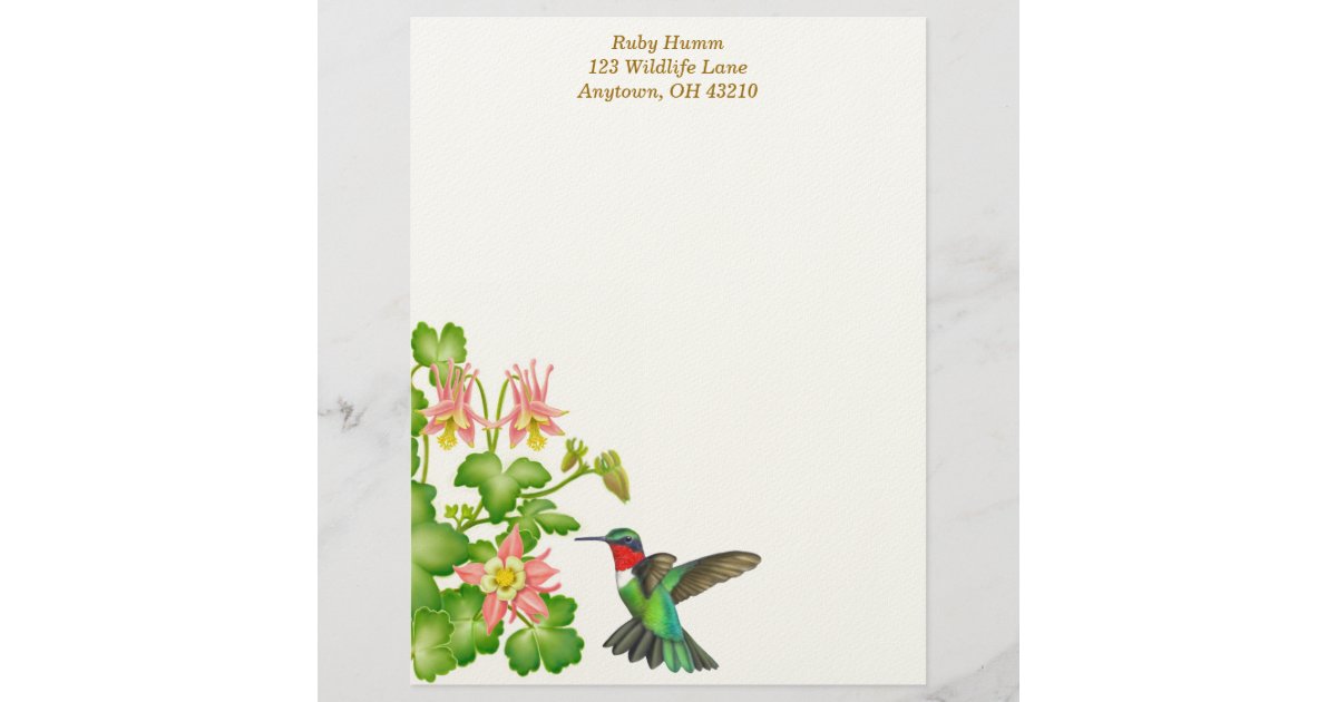 Ruby Throated Hummingbird in Columbines Letterhead | Zazzle