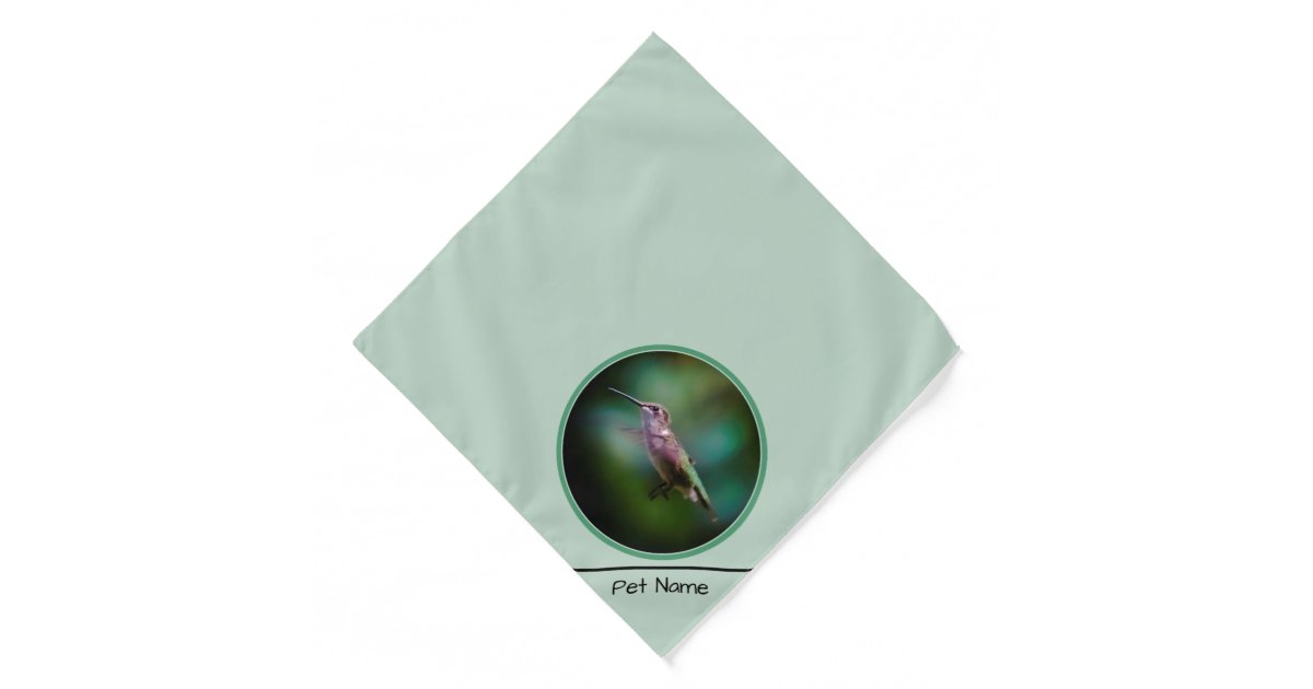 Ruby-throated Hummingbird Original Photograph Bandana | Zazzle