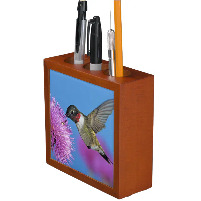 Ruby-throated Hummingbird Pencil/Pen Holder | Zazzle