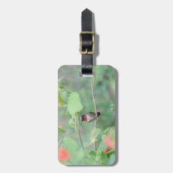 Ruby-Throated Hummingbird, Personalized Luggage Tag | Zazzle