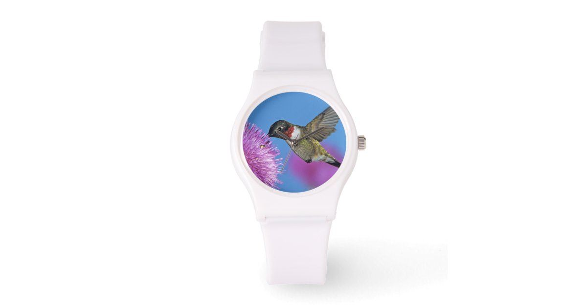 Ruby-throated Hummingbird Watch | Zazzle