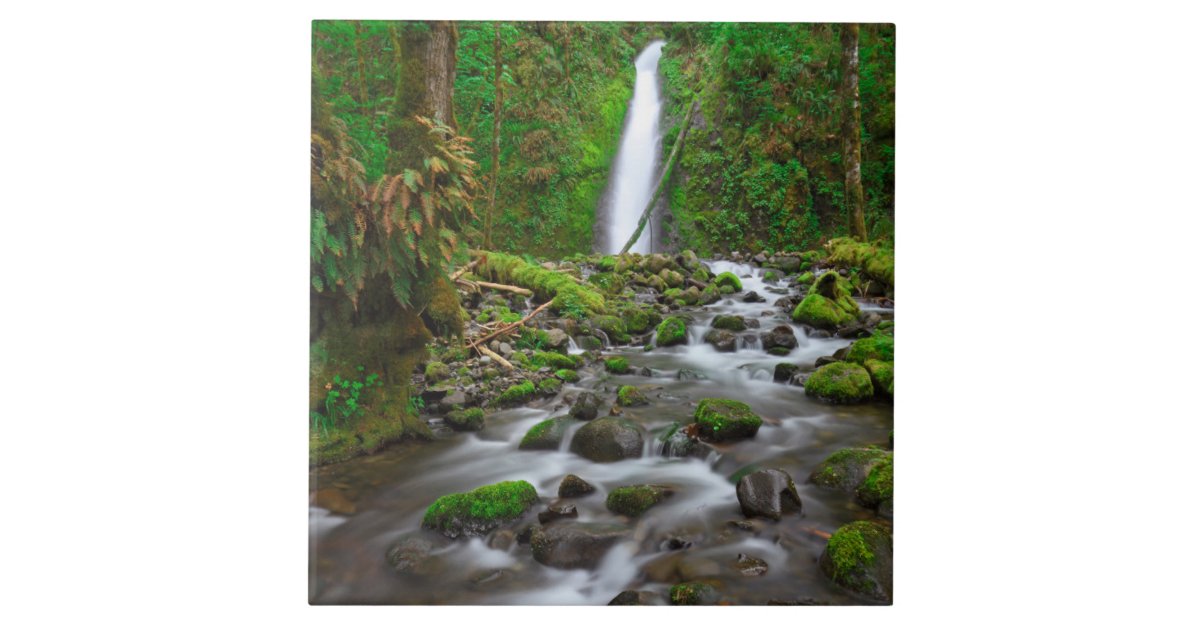 Ruckel Creek Falls, Columbia River Gorge Oregon Ceramic Tile | Zazzle