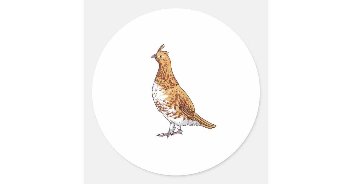 Ruffed Grouse State Bird of Pennsylvania Classic Round Sticker | Zazzle