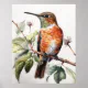 Rufous Hummingbird Bird Art Print Poster | Zazzle