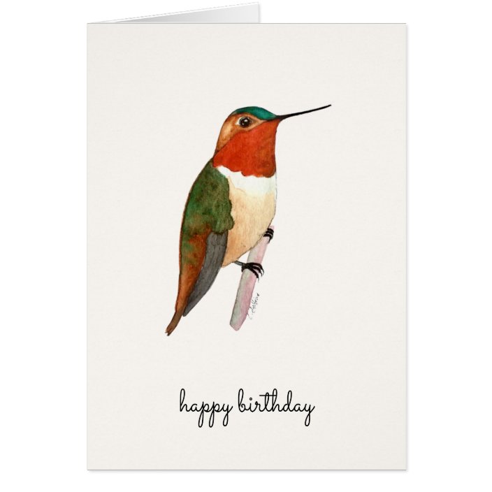 Rufous Hummingbird Birthday Card | Zazzle.com