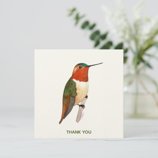 Rufous Hummingbird Thank You Card | Zazzle