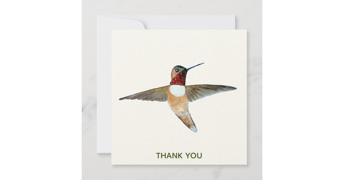 Rufous Hummingbird Thank You Card | Zazzle