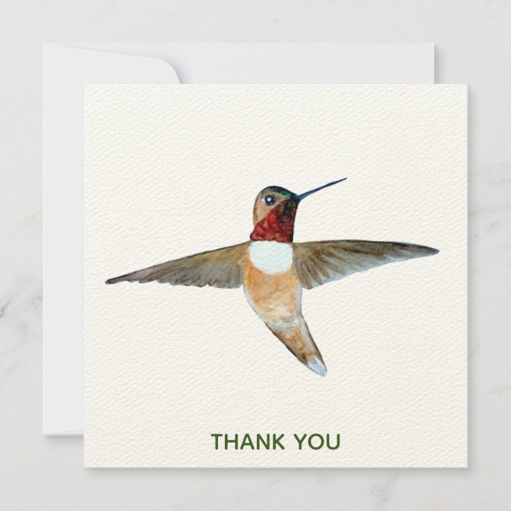 Rufous Hummingbird Thank You Card | Zazzle