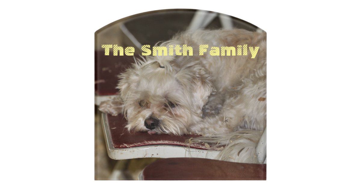 Rumple Door Sign | Zazzle