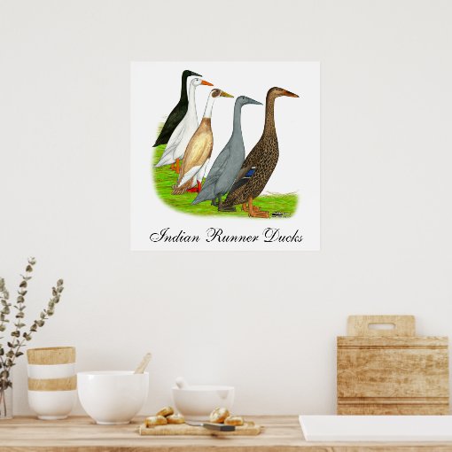 Runner Duck Assortment Poster | Zazzle