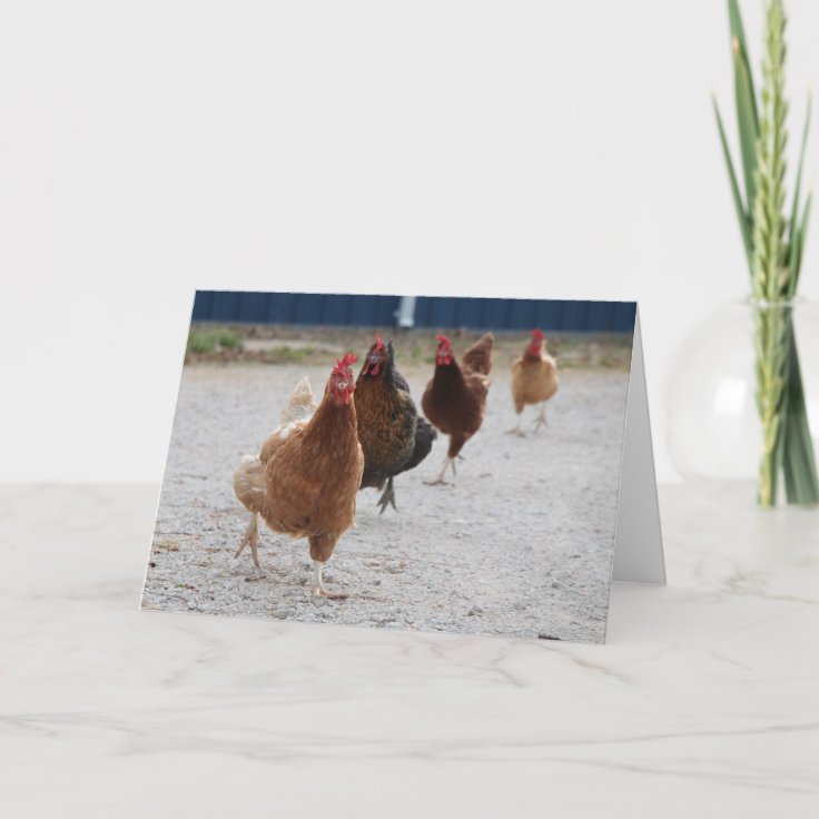 Running Hens Card | Zazzle