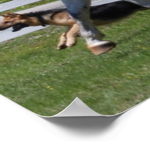 RUNNING HORSE & DOG POSTER | Zazzle