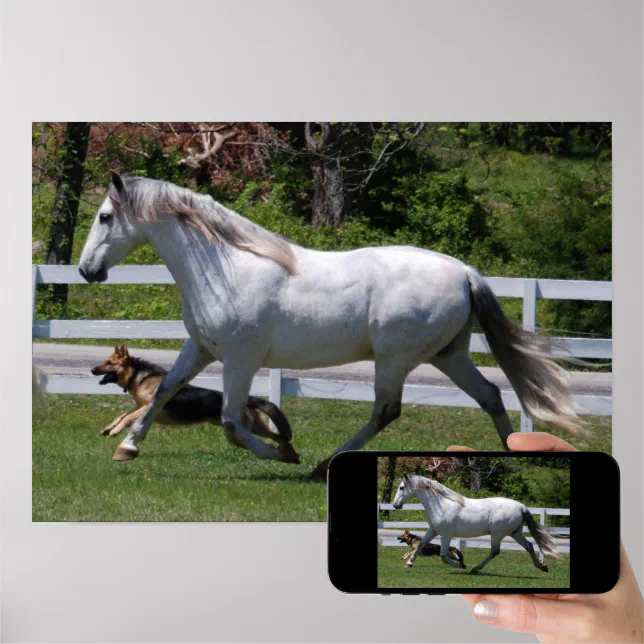 RUNNING HORSE & DOG POSTER | Zazzle