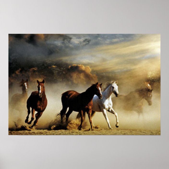 Running Horses Poster | Zazzle.com
