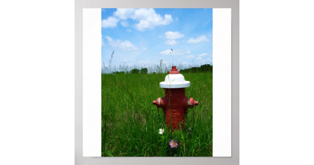 Rural Fire Hydrant Poster | Zazzle