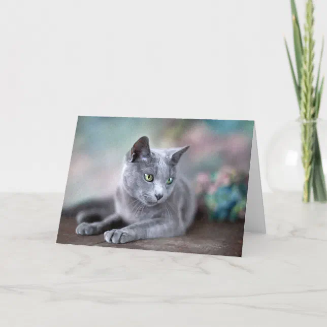 Russian Blue Card | Zazzle