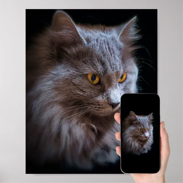 Russian Blue Gray Nebelung Cat Wall Art Poster | Zazzle